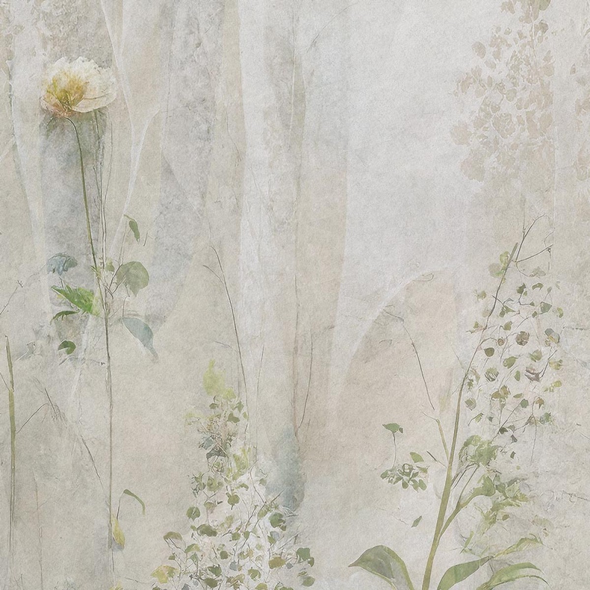 Rimura | Oceano Mare